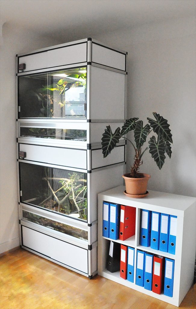 Chilabothrus chrysogaster vivarium | West Indian Boas