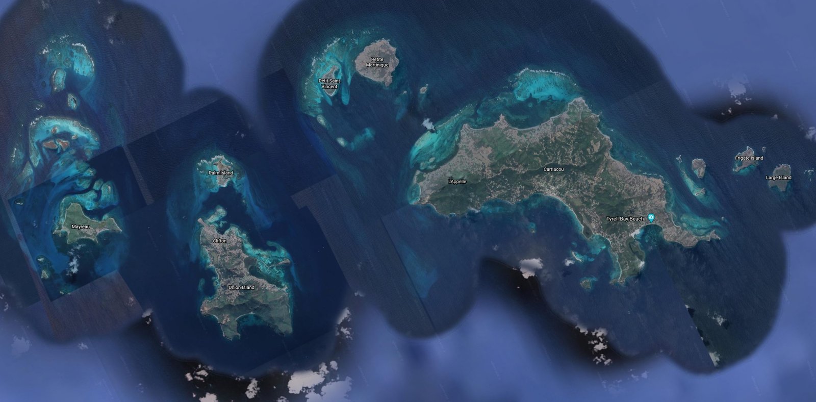 Corallus cookii | West Indian Boas